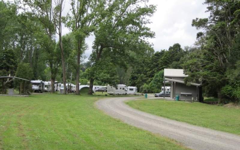 Totara Reserve Regional Park | Freedom/Basic Camp | New Zealand